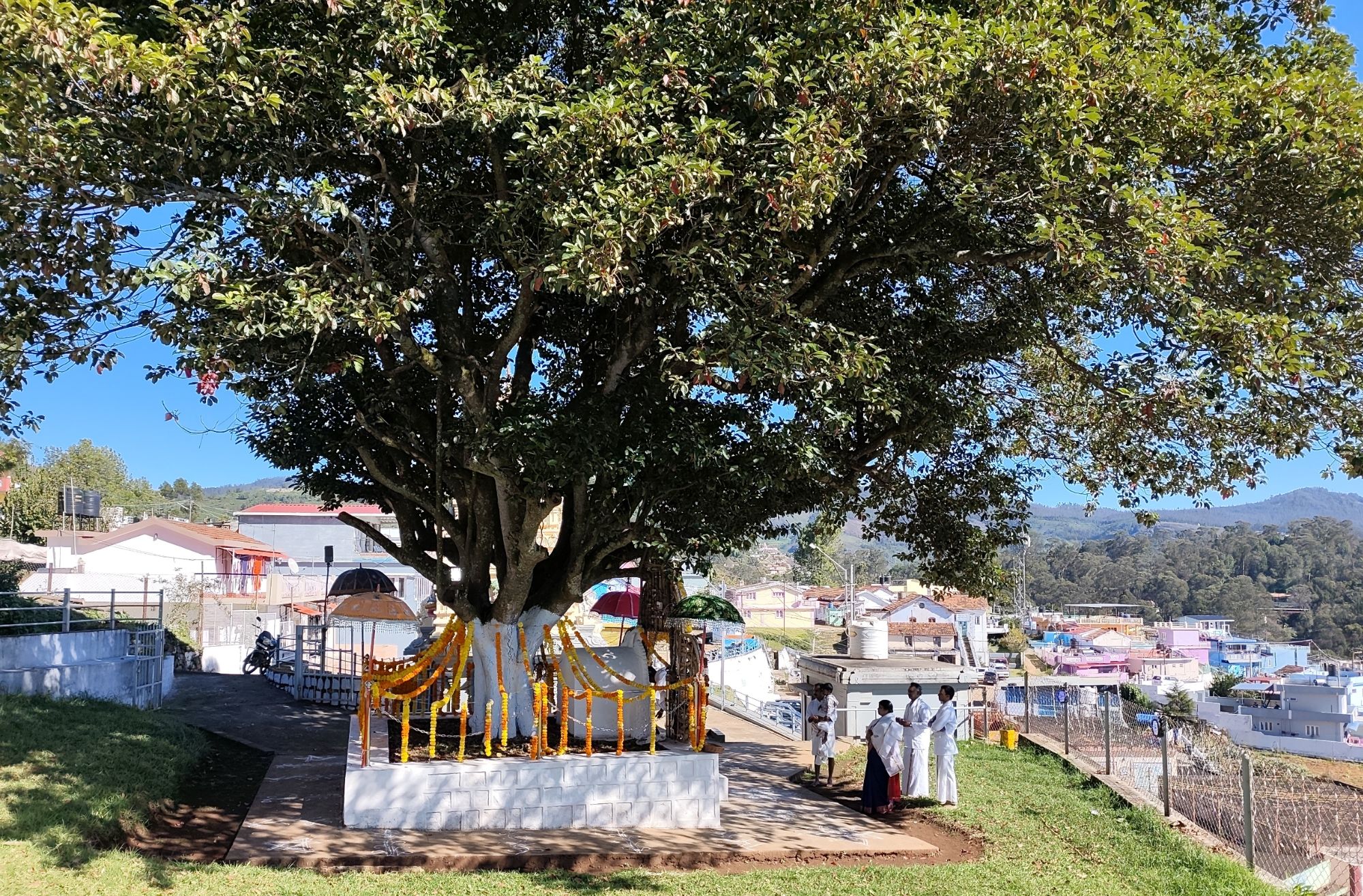 Badagas of the Blue Mountains | …their unique history, origin, culture ...